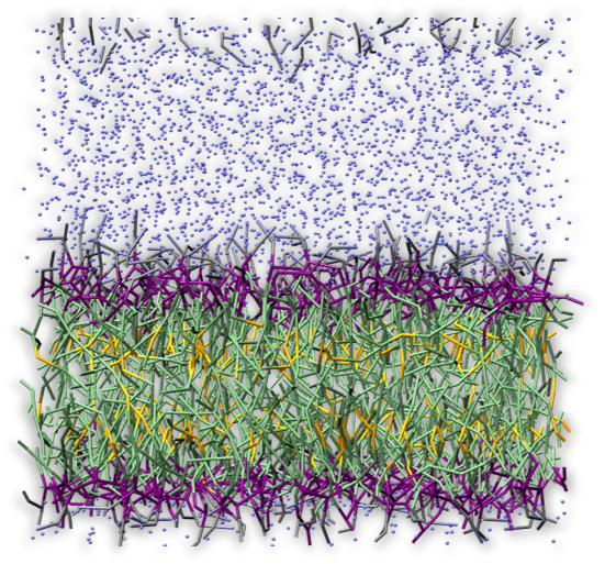 LAMMPS/DPD Plugin - SCIENOMICS