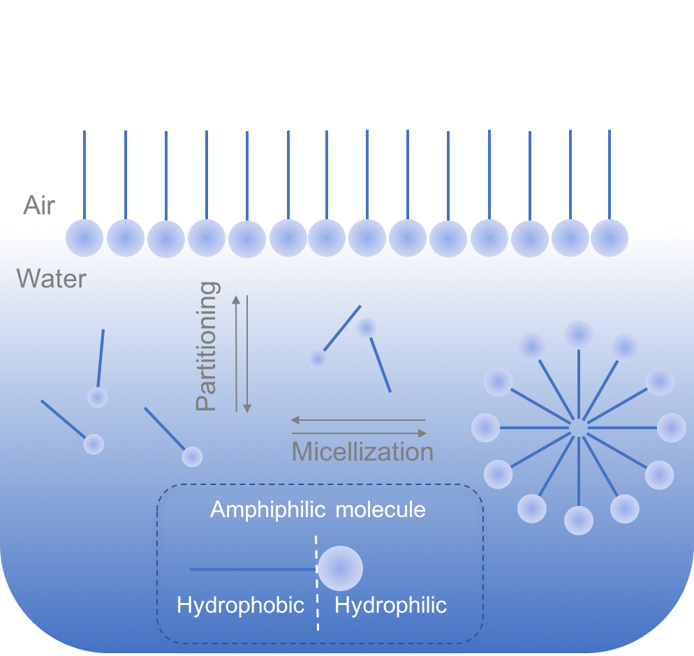 Predicting the critical micelle concentration of surfactants using ...