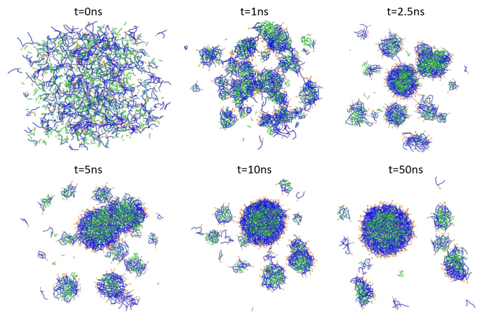 Cargo molecule delivery to target liposomes using mesoscopic ...