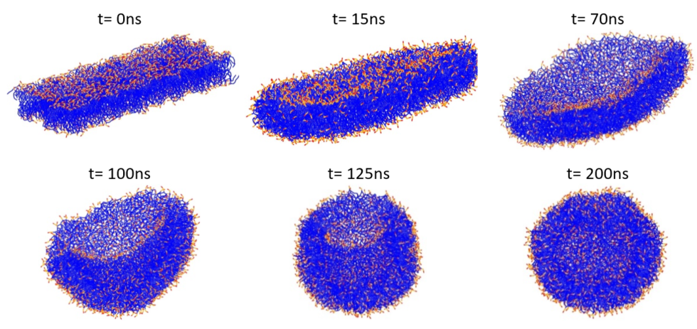 Cargo molecule delivery to target liposomes using mesoscopic ...